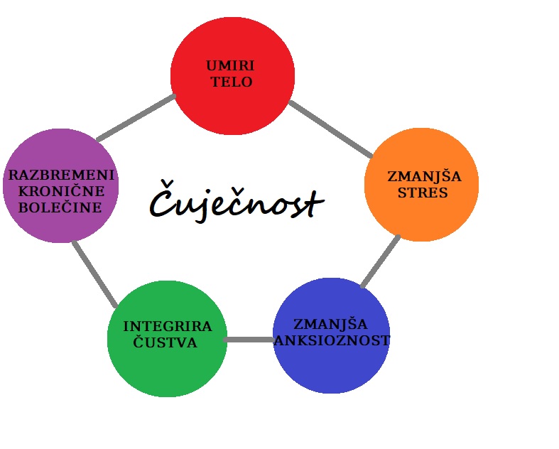 Čuječnost - Psihološko svetovanje